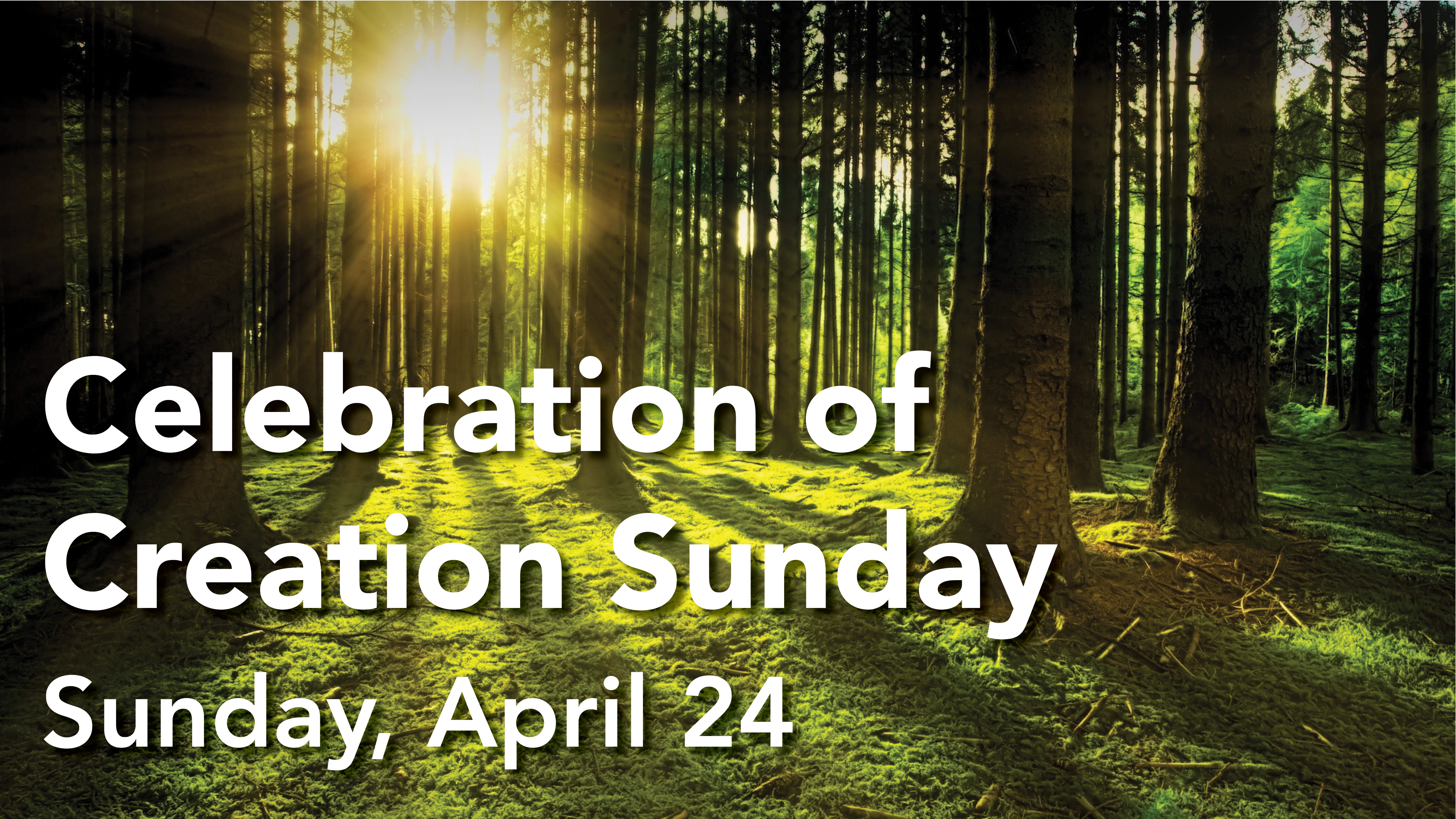 Announcement slide - Celebration of Creation Sunday - Mountain View ...